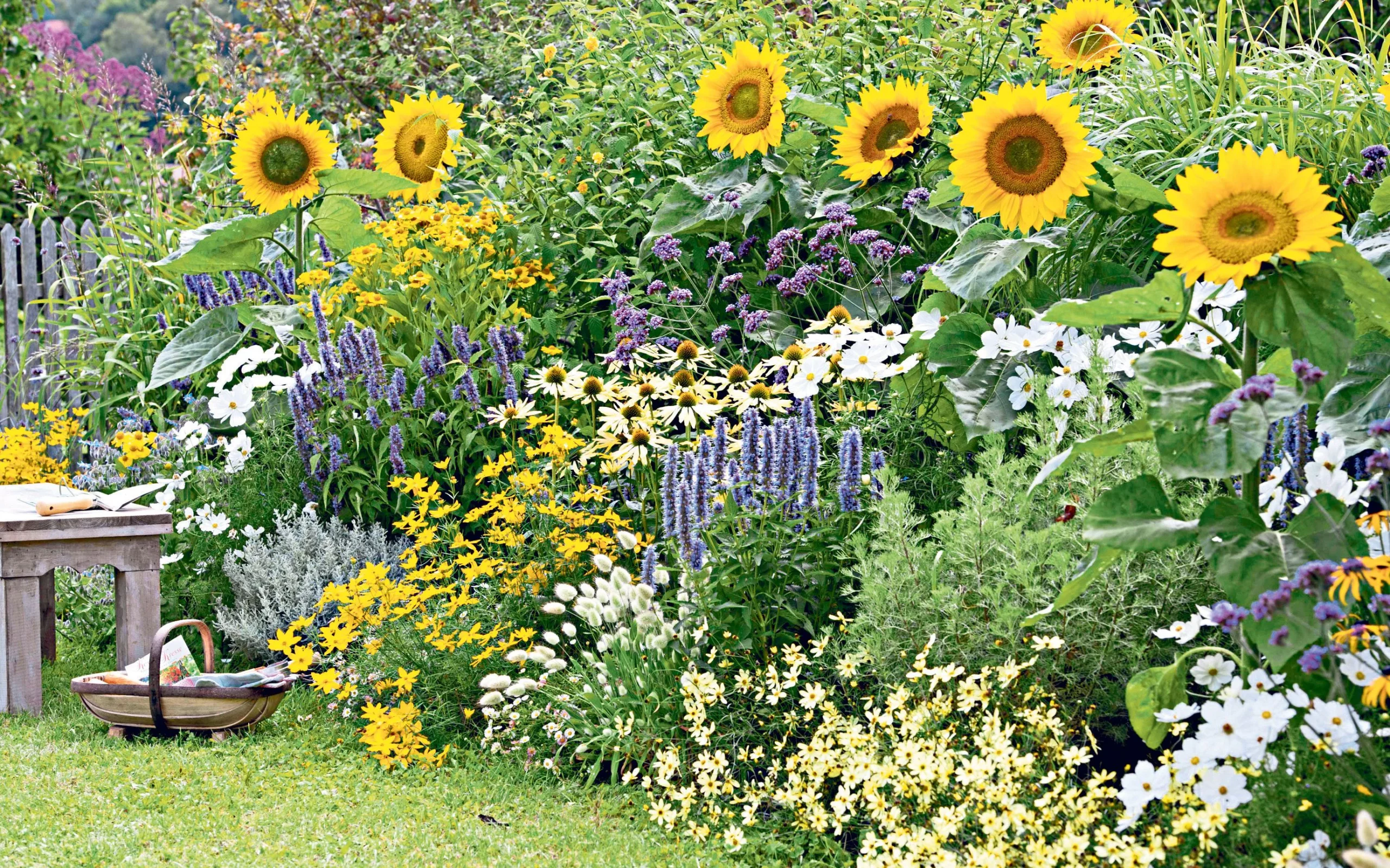 Different Types of Plants You Should Have in Your Garden — Gardens of ...